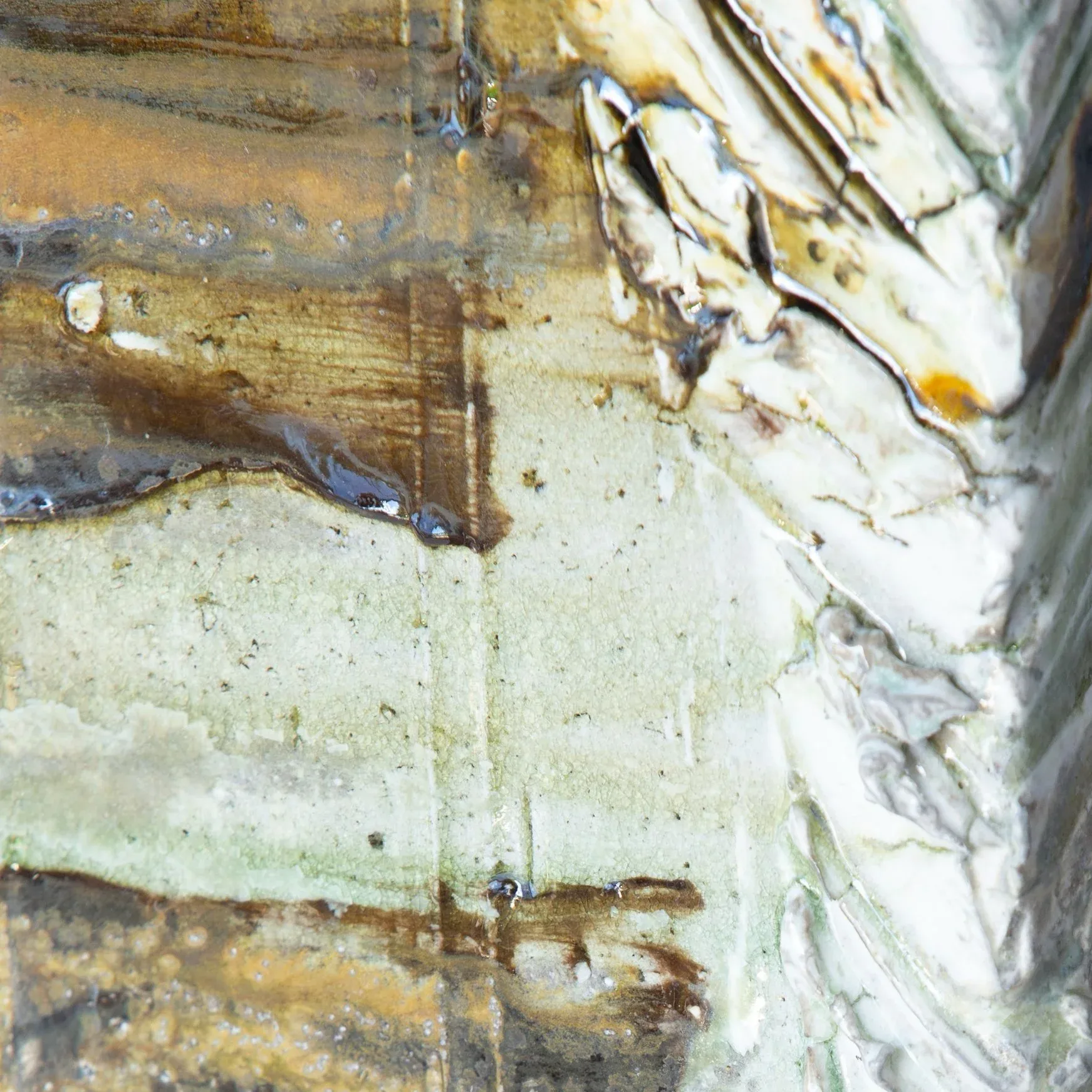 Exhibition Opening: Fire & Earth | Suter