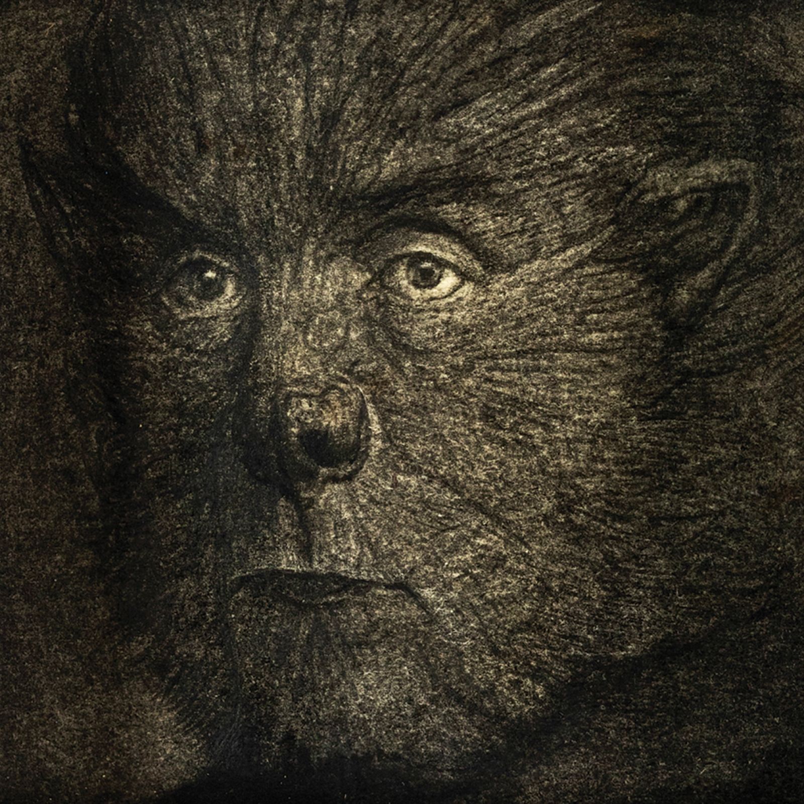 Blood Is Thicker | The Dowse