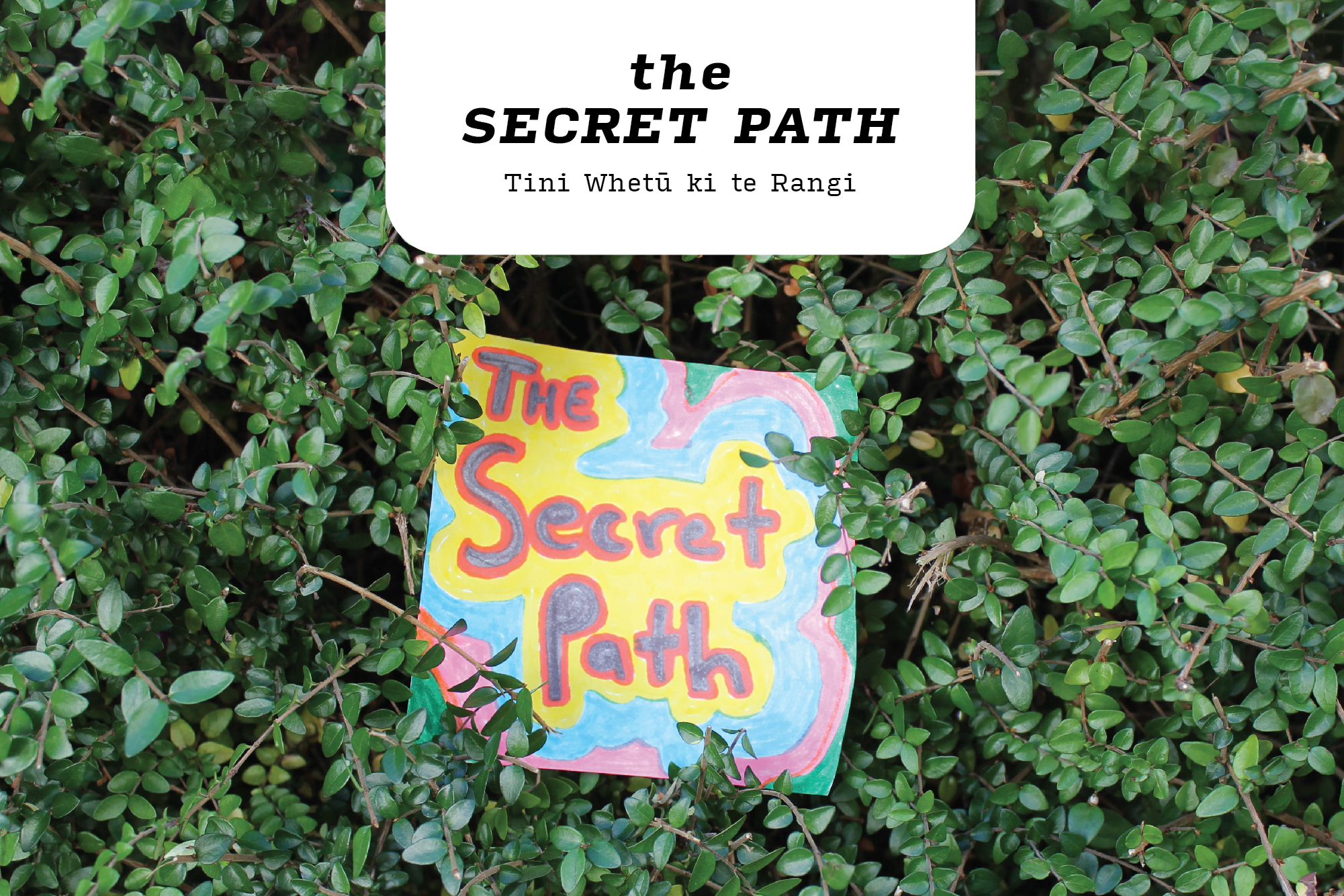 ArtNow | Exhibitions, Galleries, Events, News - New Zealand